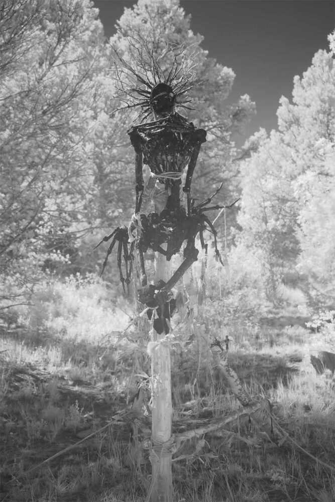 The Crone | Wakegraphic